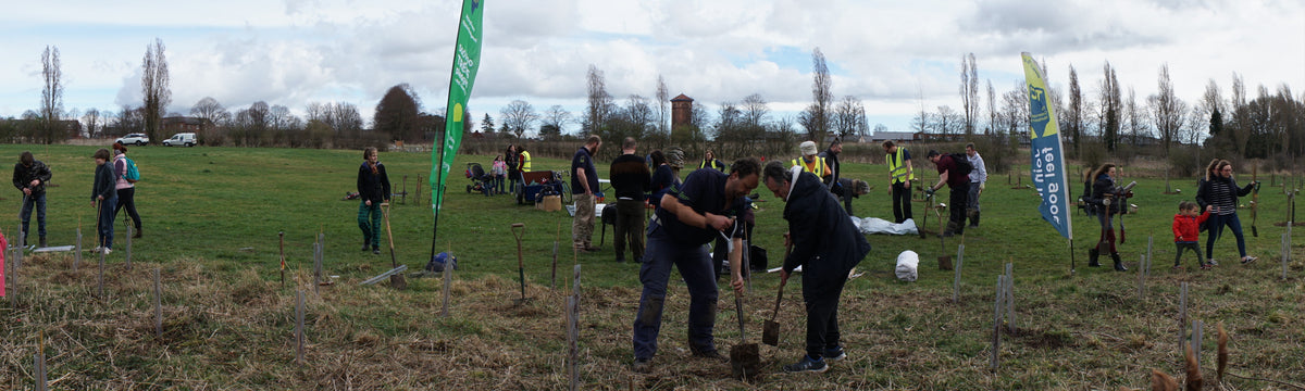 Buy a Nappy. Plant a Tree – Lizzie's Real Nappies